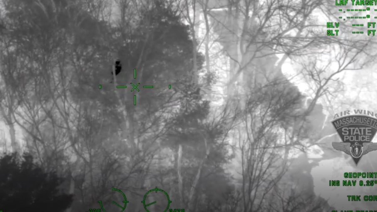 Police Arrest Burglary Suspect Who Was Hiding Up a Tree in Southborough ...