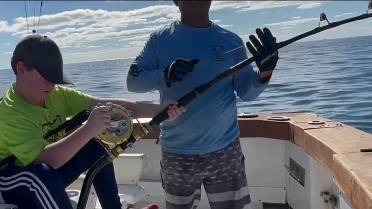 Mass. Boy Reels in Great White Shark – NBC Boston
