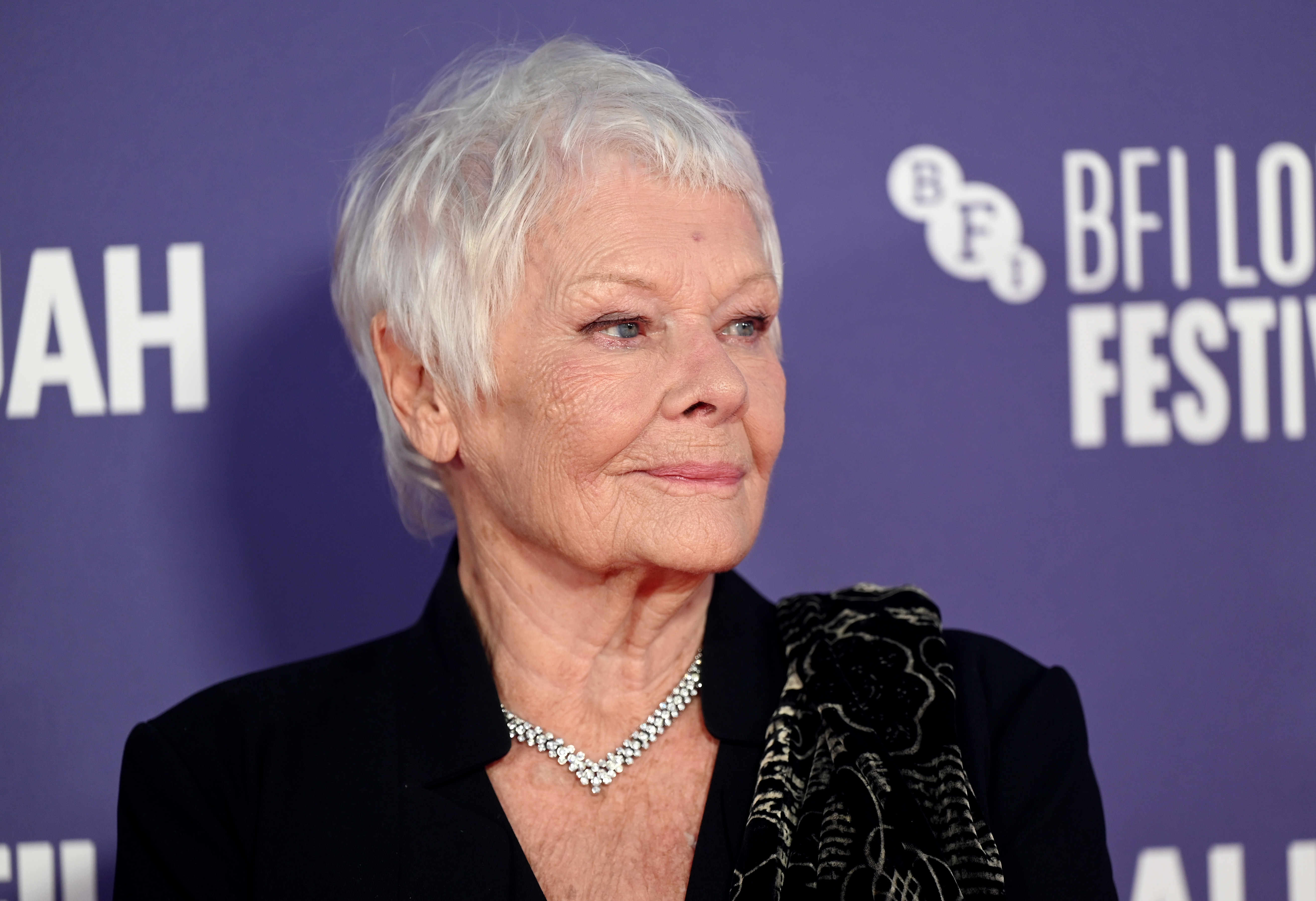Judi Dench Finds It Difficult to Learn Her Lines Due to Her ...