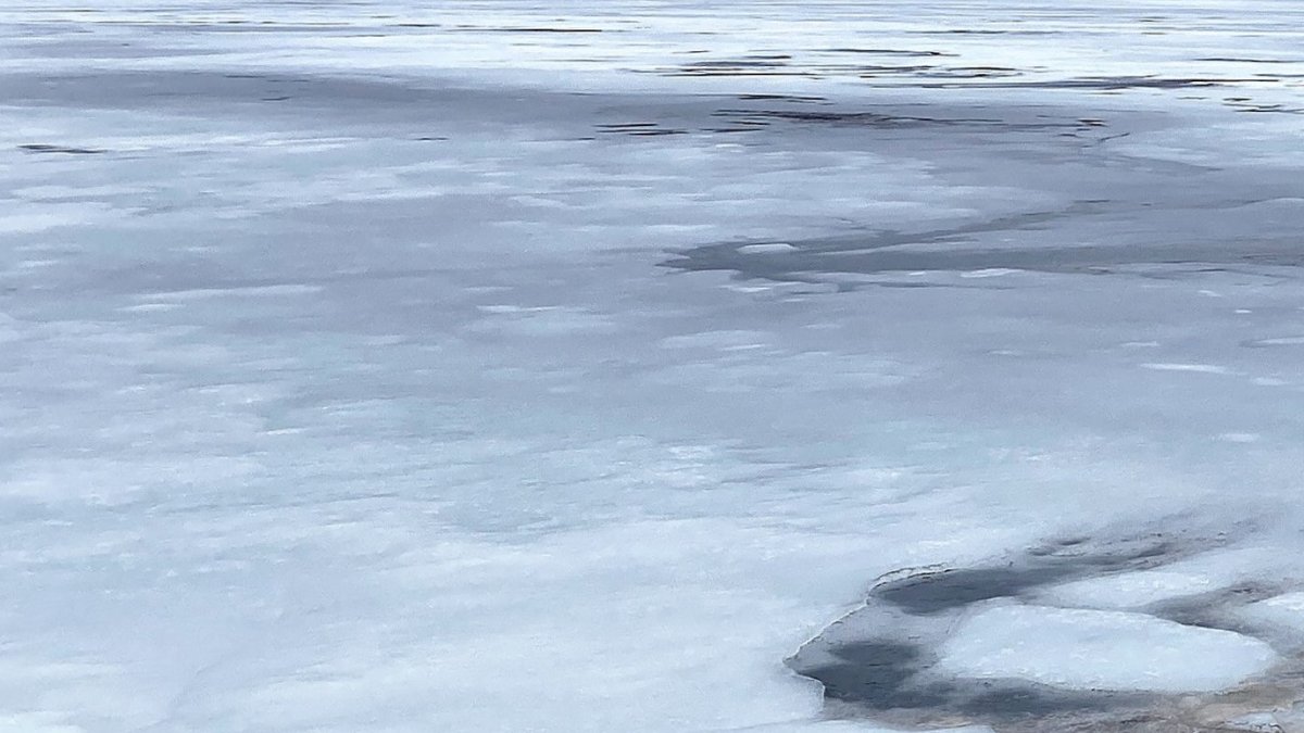 John and Wayne Fleury, of Vermont, Dead After Falling Into Lake ...