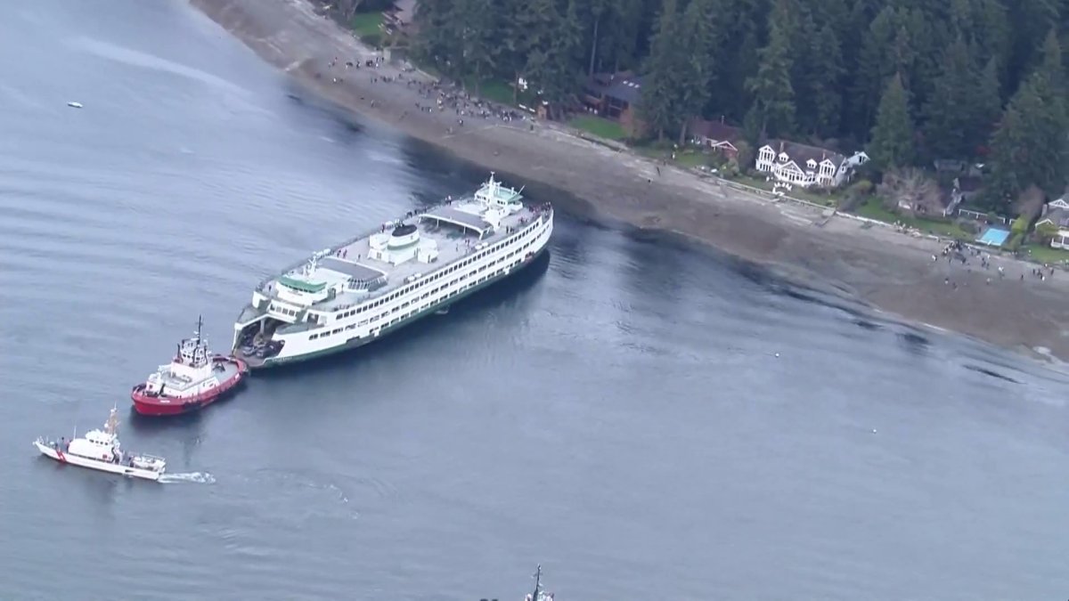 Ferry Runs Aground on Island Near Seattle, Leaving Over 600 Stranded on ...
