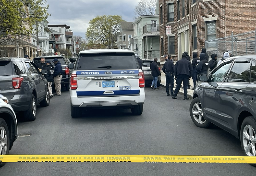 Boston Police Shoot 2 Dogs, 1 Fatally, After Officer Bitten – NBC Boston