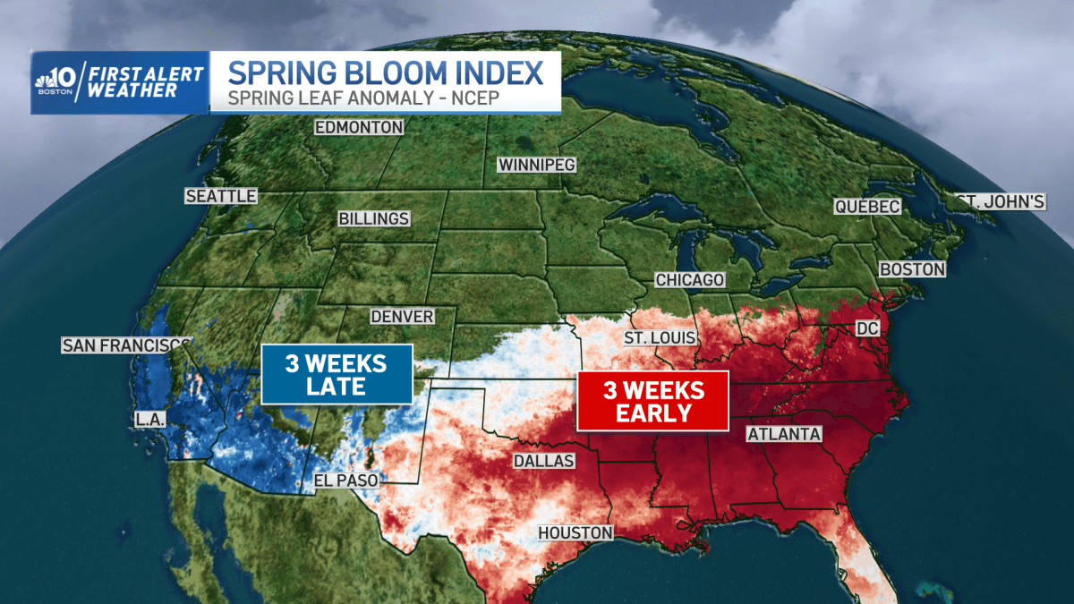 Why Does the Pollen Seem So Bad This Year? – NBC Boston