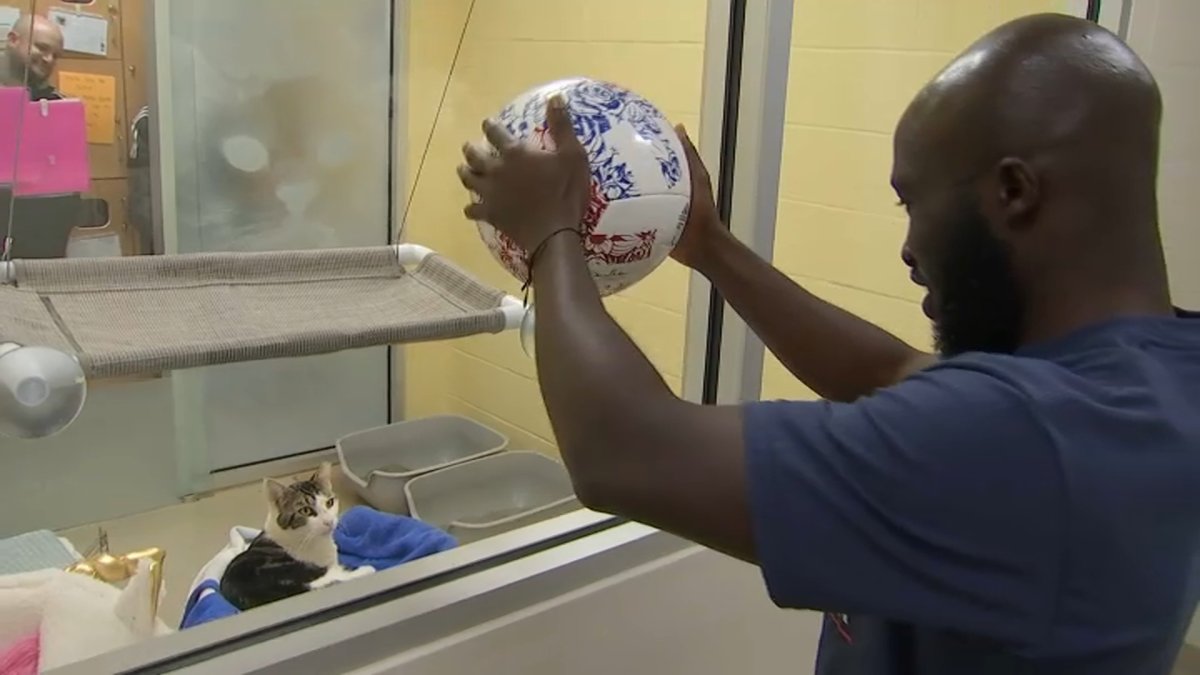New England Revolution Helping Animal Rescue League of Boston – NECN