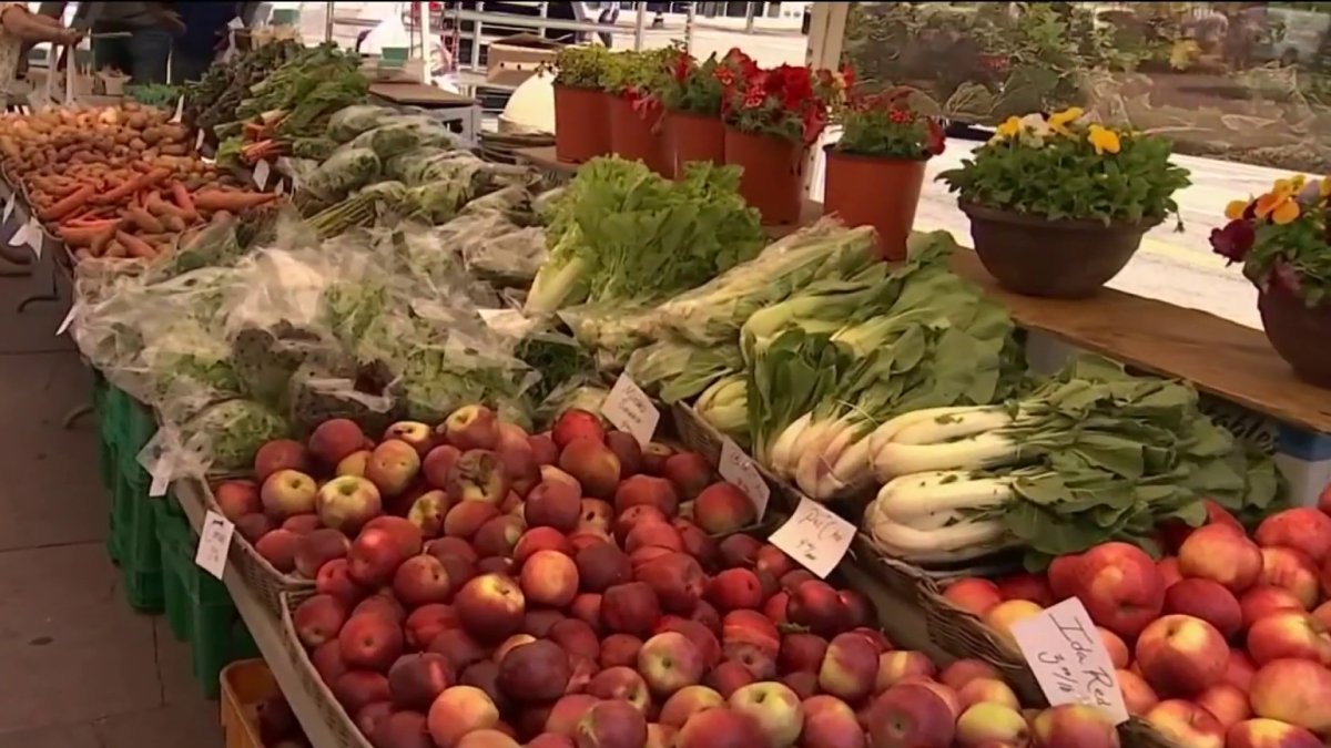 SNAP Benefits Impacted by Debt Ceiling Deal – NBC Boston