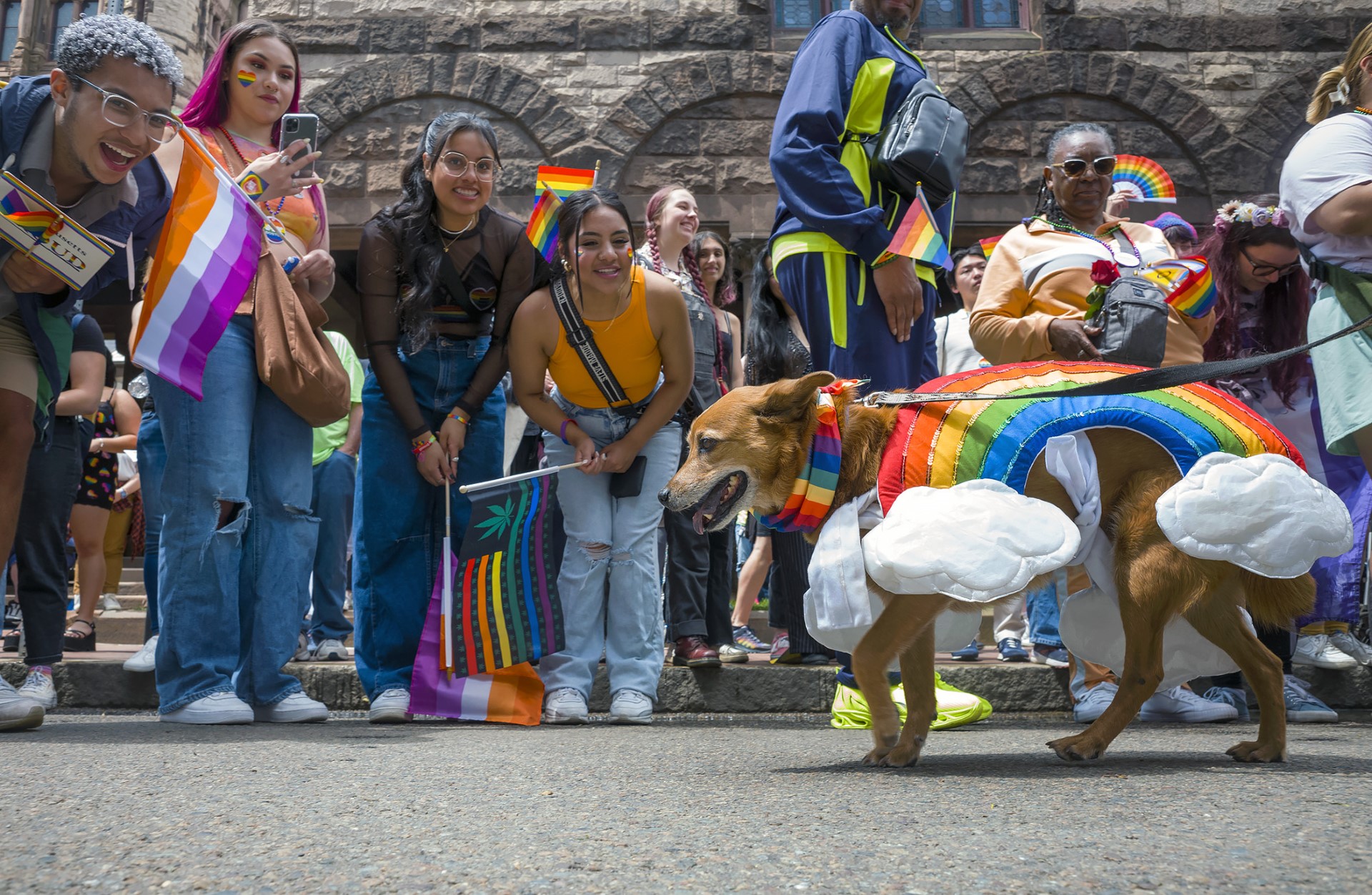 PHOTOS: Boston Pride for the People parade – NBC Boston