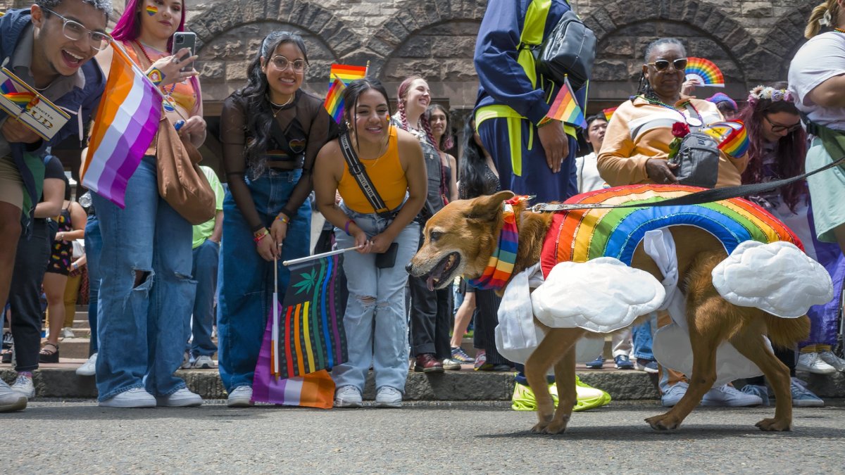 PHOTOS: Boston Pride for the People parade – NBC Boston