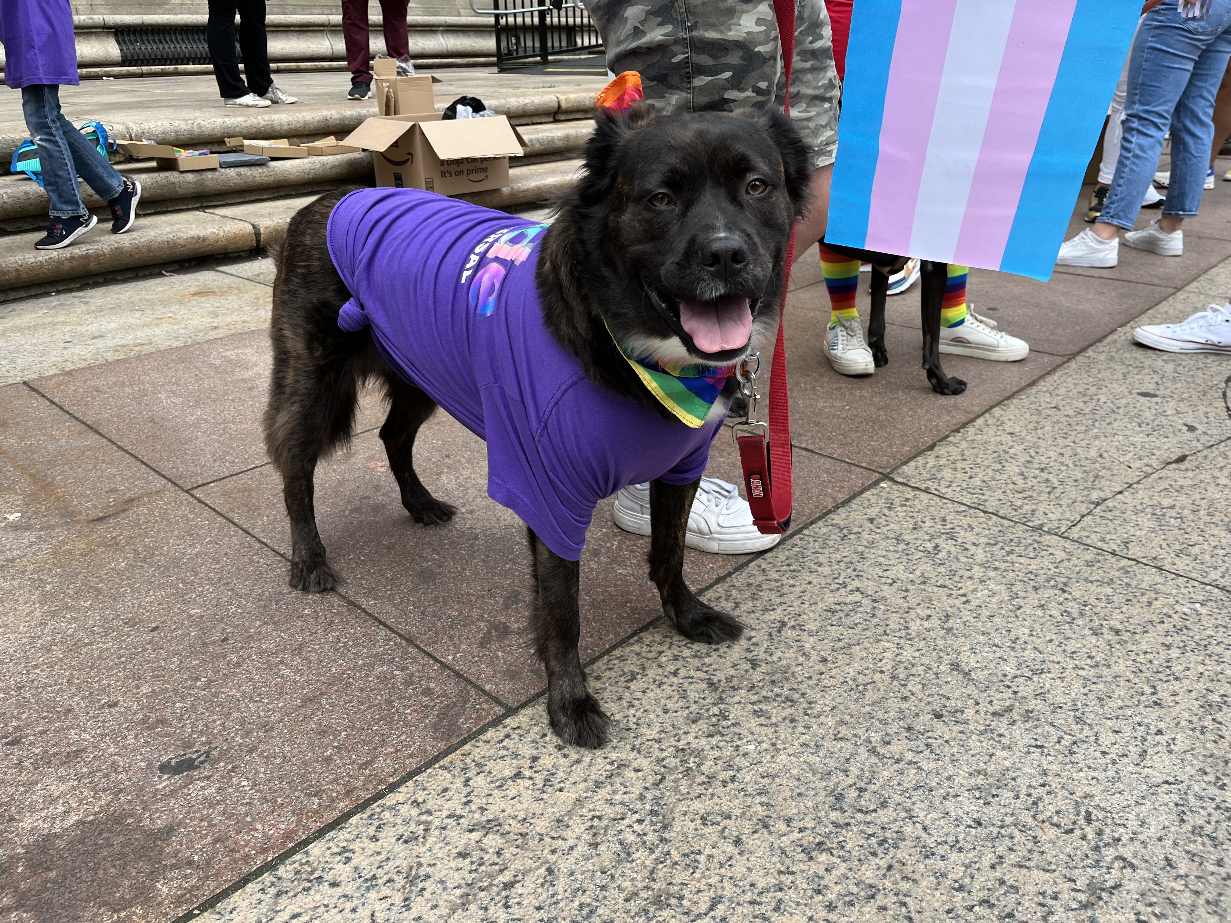 PHOTOS: Boston Pride for the People parade – NBC Boston