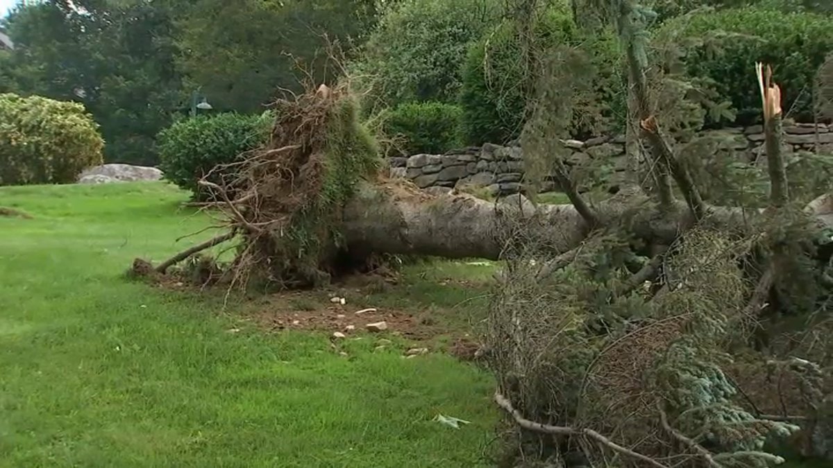 Tornado confirmed in Dublin, NH, near Keane – NBC Boston