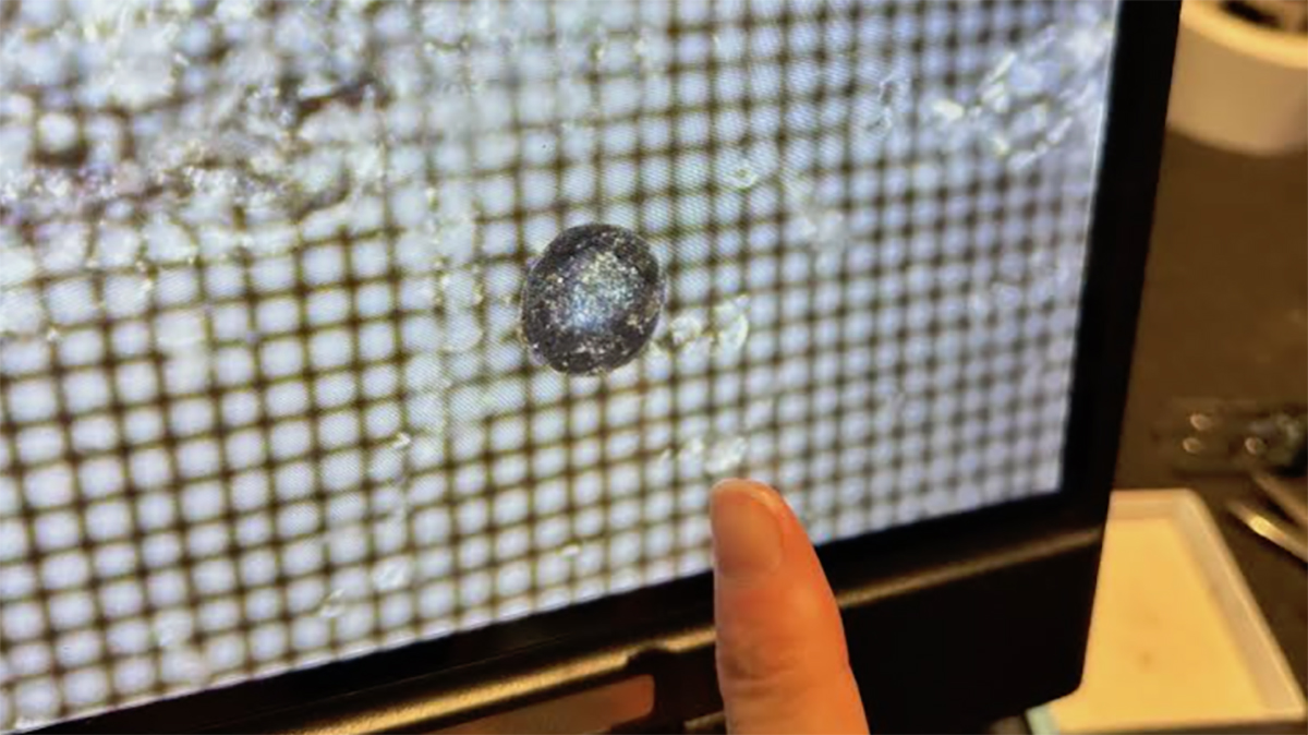 Did alien tech crash into our ocean? Harvard professor continues ...