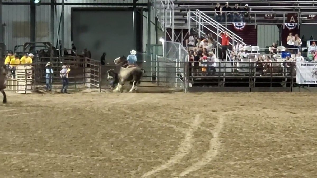 Bull escapes rodeo, injures Utah Lt. Gov.’s family – NBC Boston
