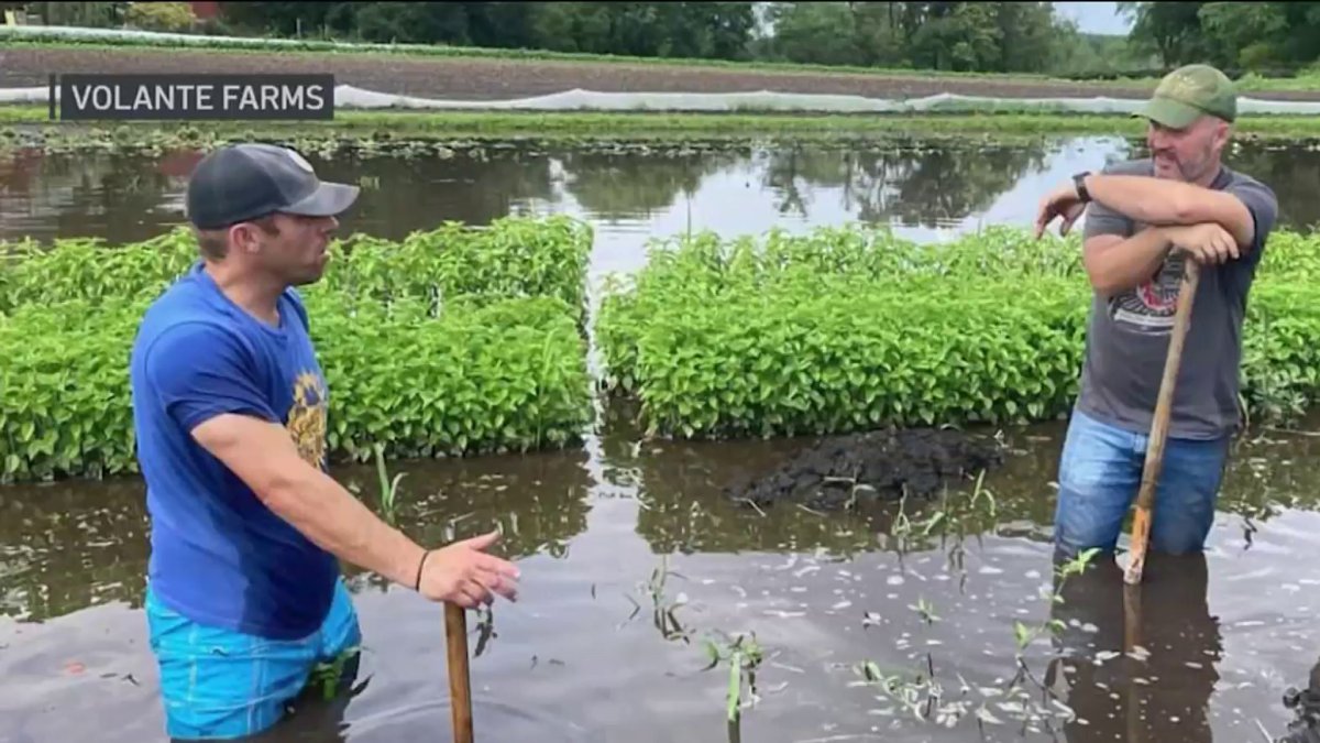Volante Farms in Needham, MA combats flood damage – NBC Boston