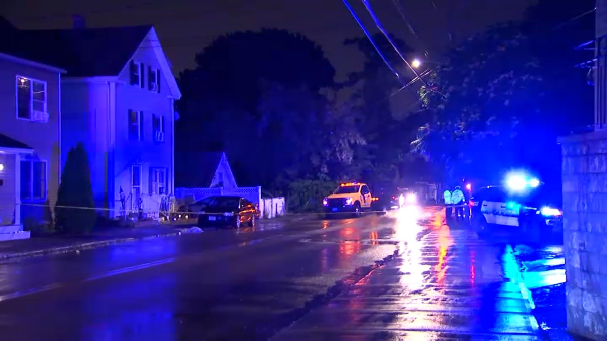 Peabody MA dog attack: Pitbull shot biting woman – NBC Boston