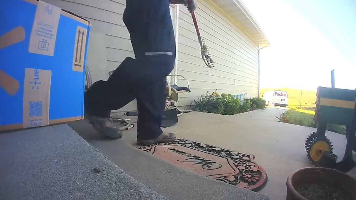 FedEx driver kills rattlesnake during delivery – NBC Boston