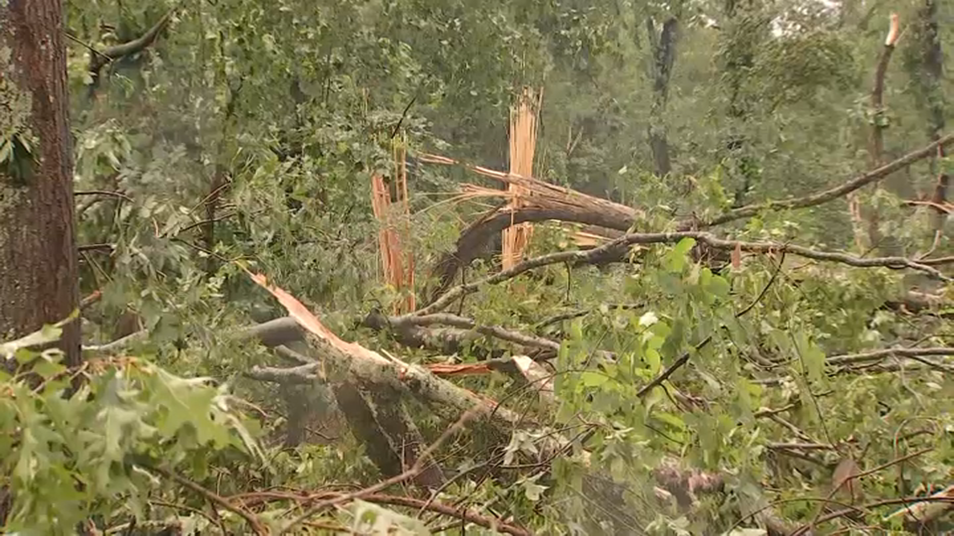 Boston, MA; RI flooding, tree damage photos – NBC Boston