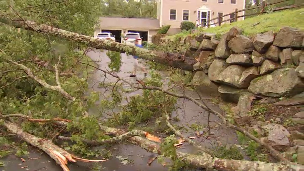 Boston, MA; RI flooding, tree damage photos – NBC Boston