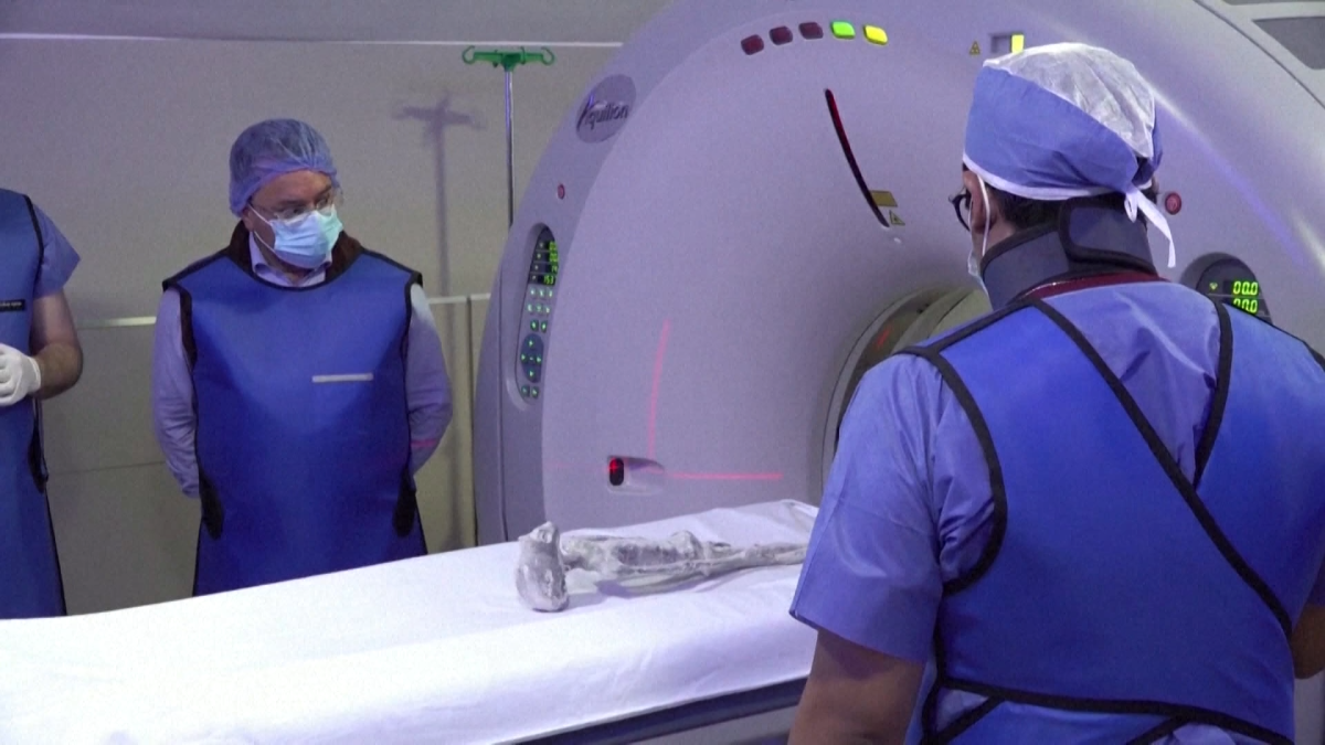 Lab studies show alleged alien corpses in Mexico were not assembled ...