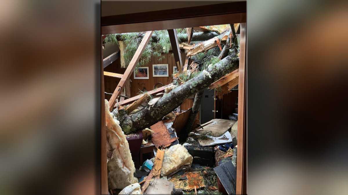 2 hurt after tree crashes into home in Andover – NBC Boston