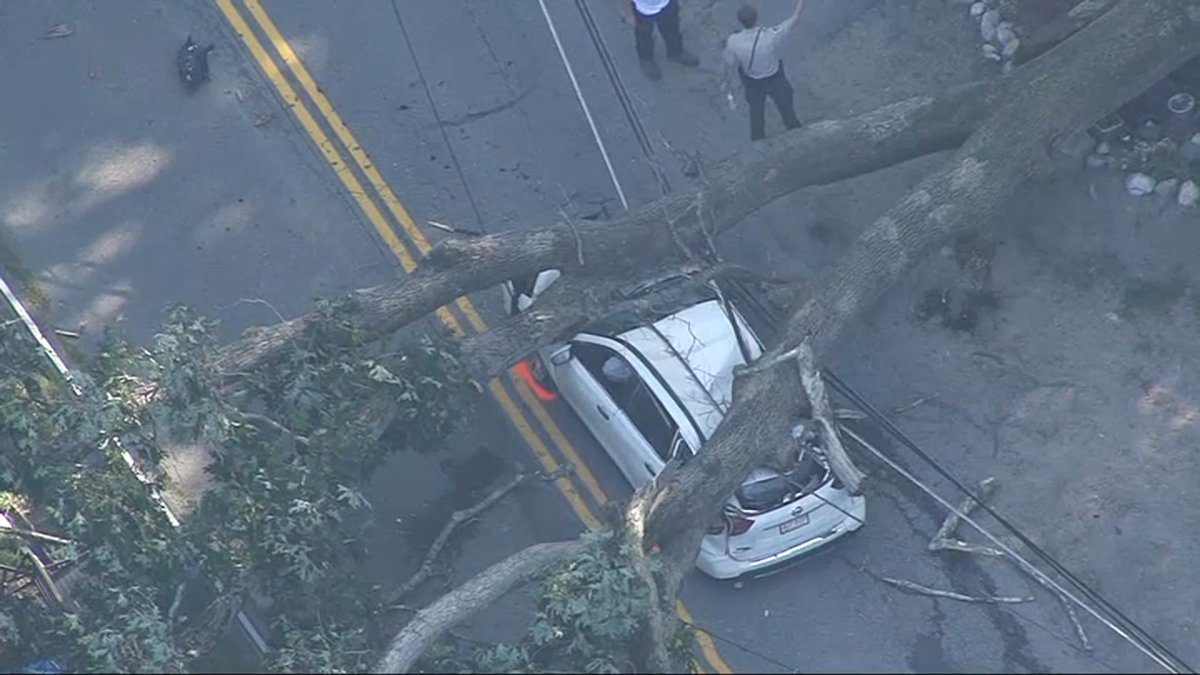 Tree falls on car in Douglas, Mass. – NBC Boston