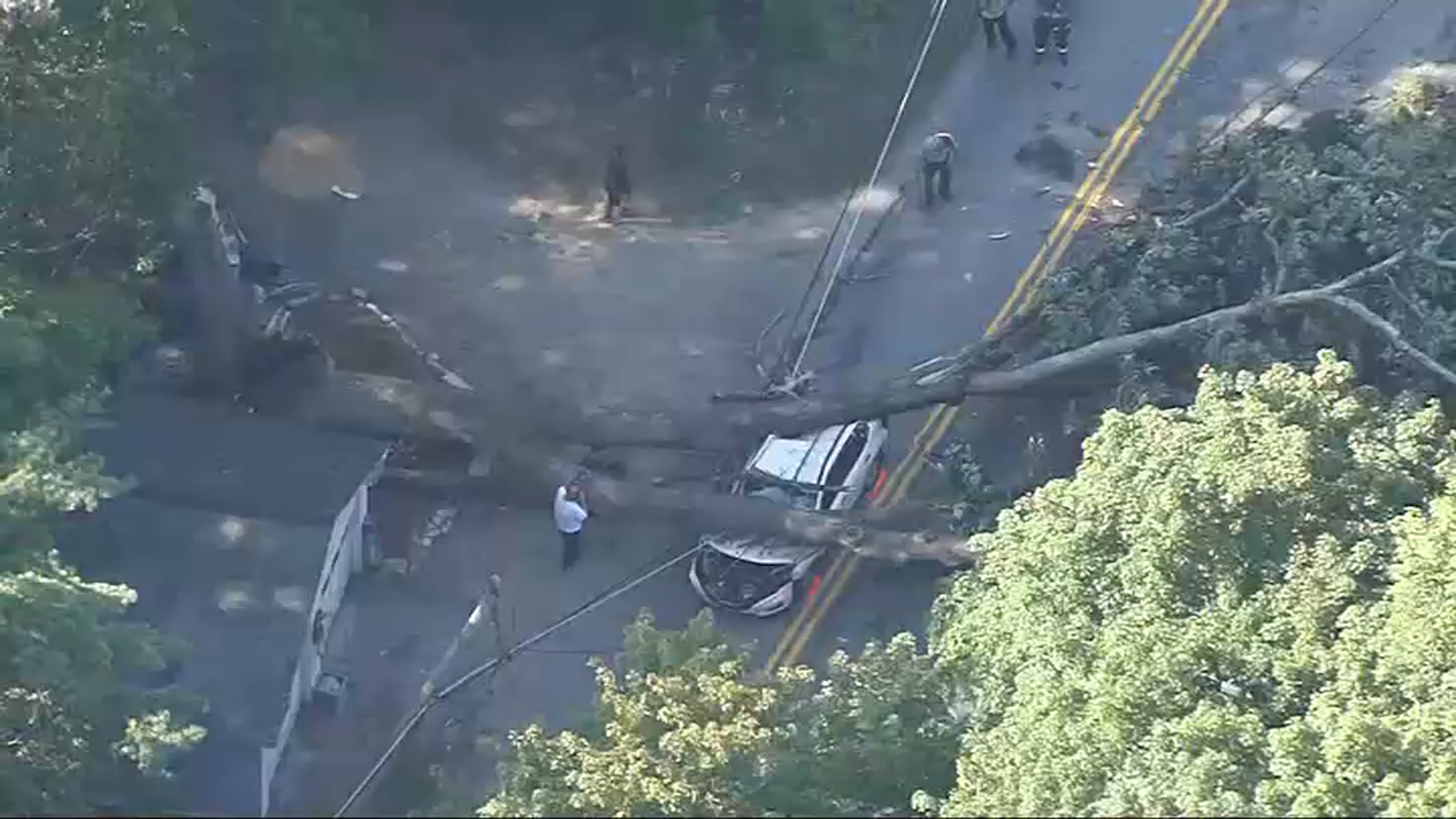 Tree falls on car in Douglas, Mass. – NBC Boston