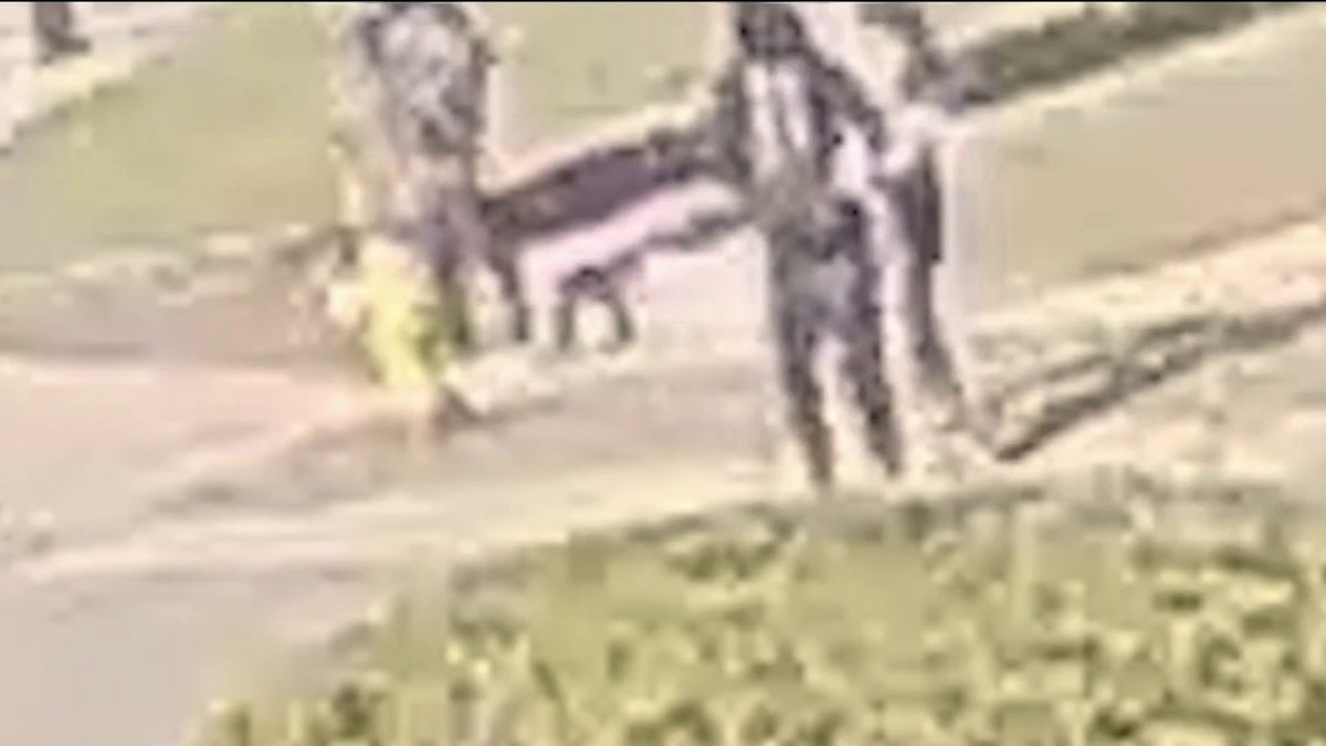 USPS mail carrier injured in Medford, MA attack – NBC Boston