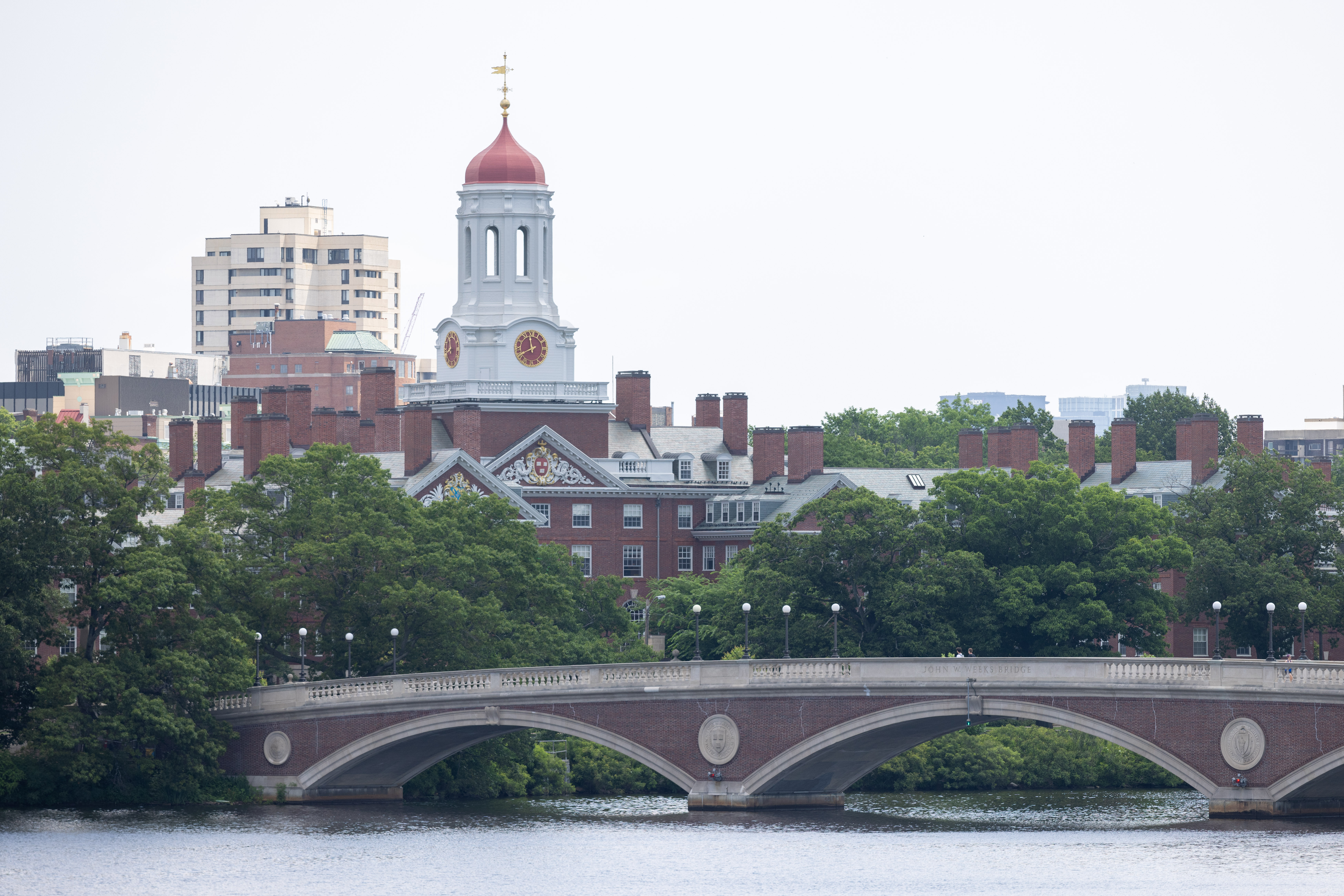 Harvard University faces continued criticism over response to Israel ...
