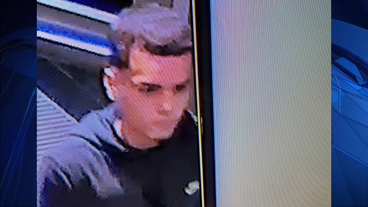 Worcester State University shooting suspect search – NBC Boston