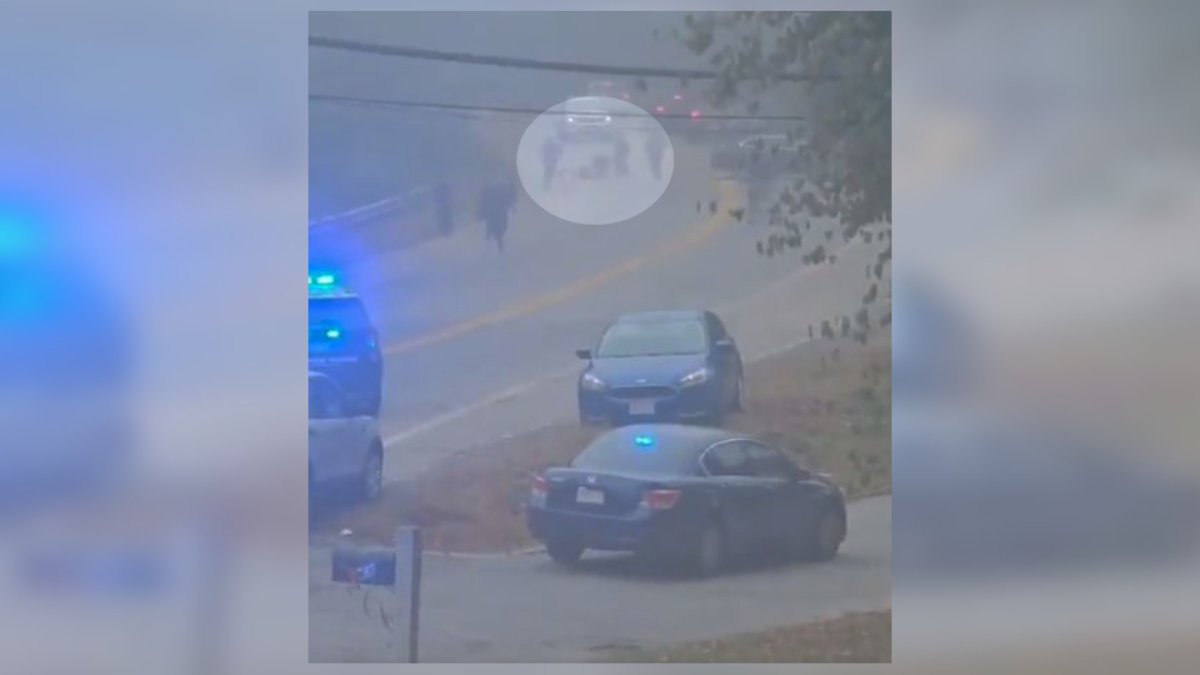 Video shows capture of NH carjacking suspects Nathan Saben; Jessica ...