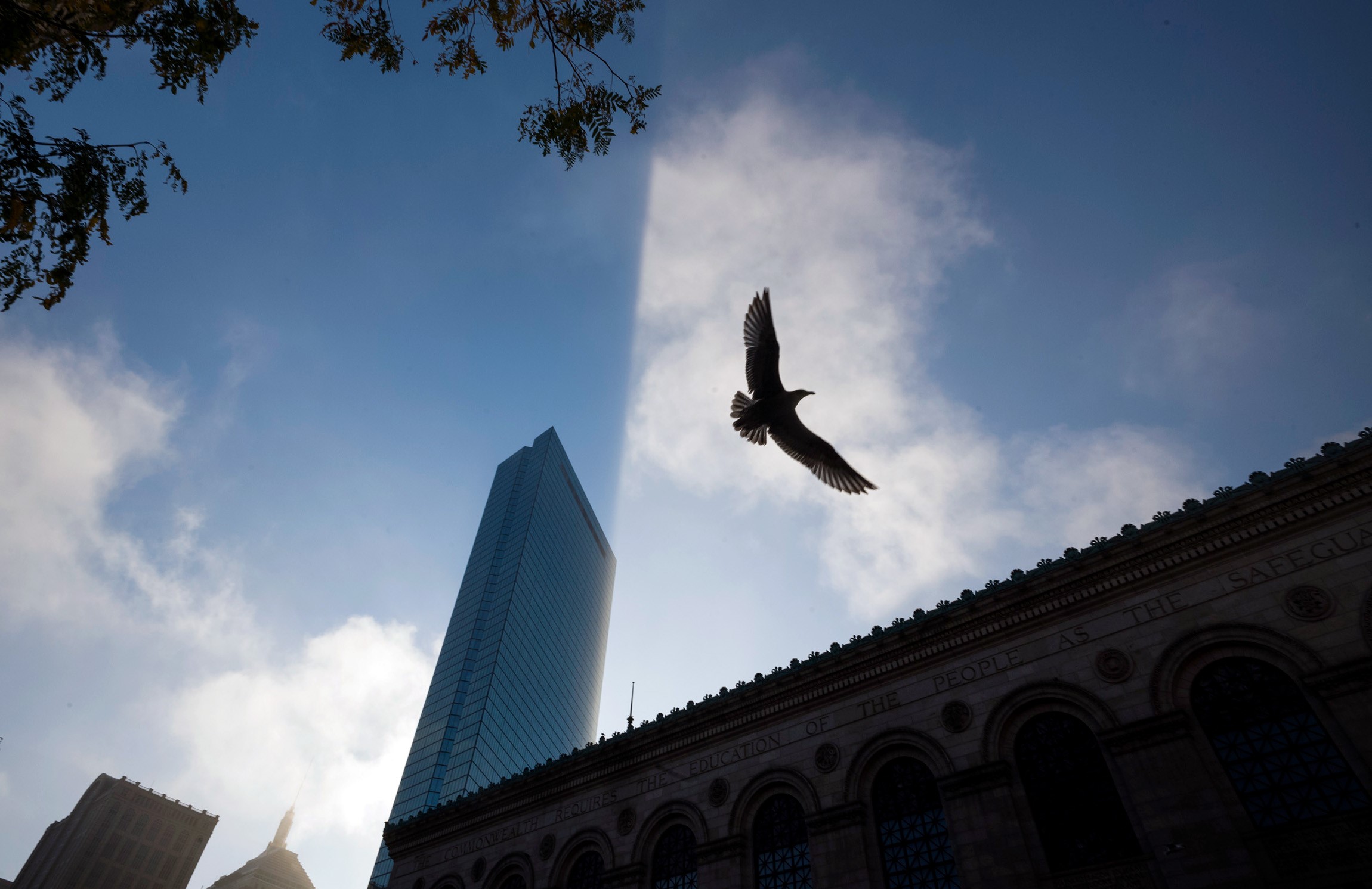 Foggy Thursday morning in Boston captured in photos – NBC Boston