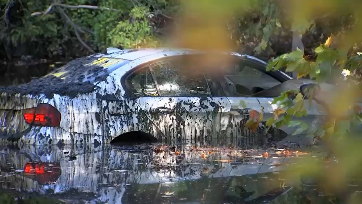 Car drives into pond near Newton, MA City Hall – NBC Boston