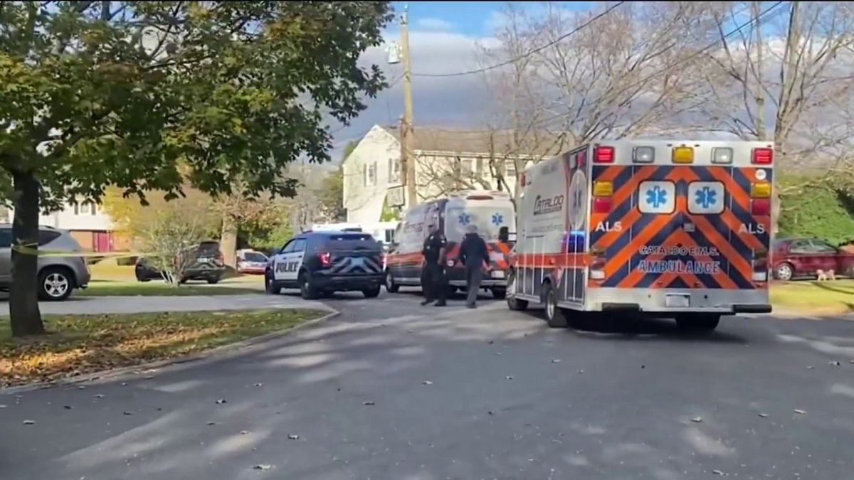 Woman arrested in double stabbing in Stoneham – NBC Boston