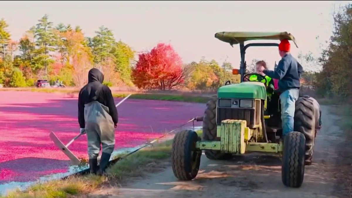 Learning about the work of the Cardinal Cushing Centers – NBC Boston