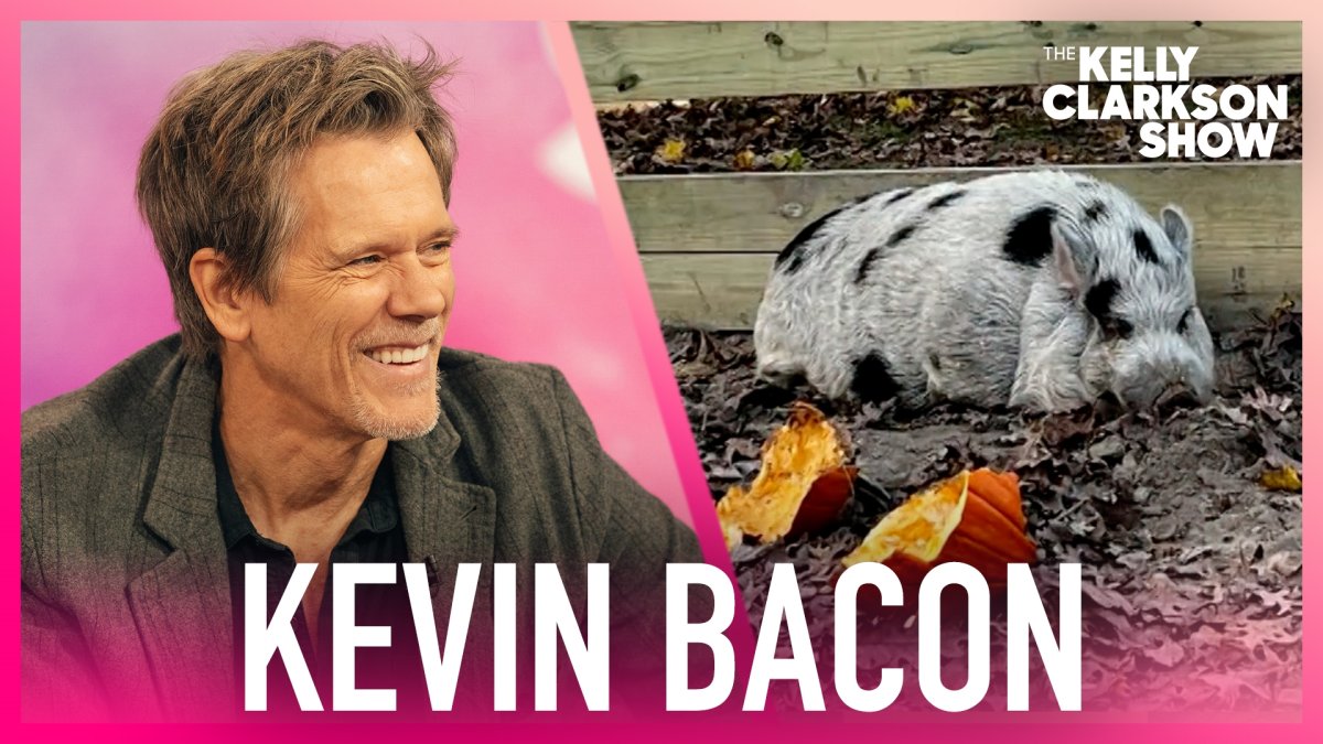 Kevin Bacon helped find namesake runaway pig – NBC Boston