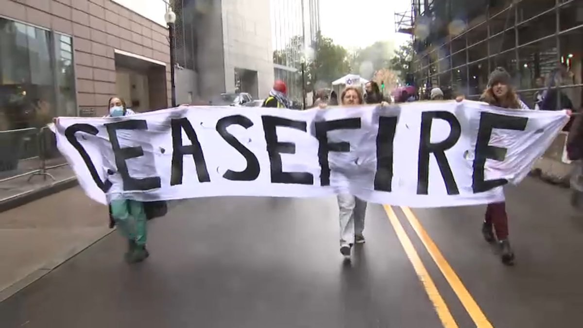 Scores call for ceasefire in Israel-Hamas War as VP Harris holds event ...