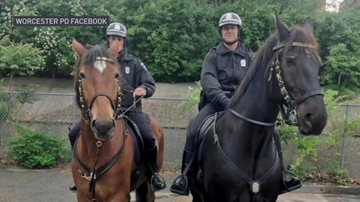 Worcester police eliminating mounted patrol unit due to staffing ...
