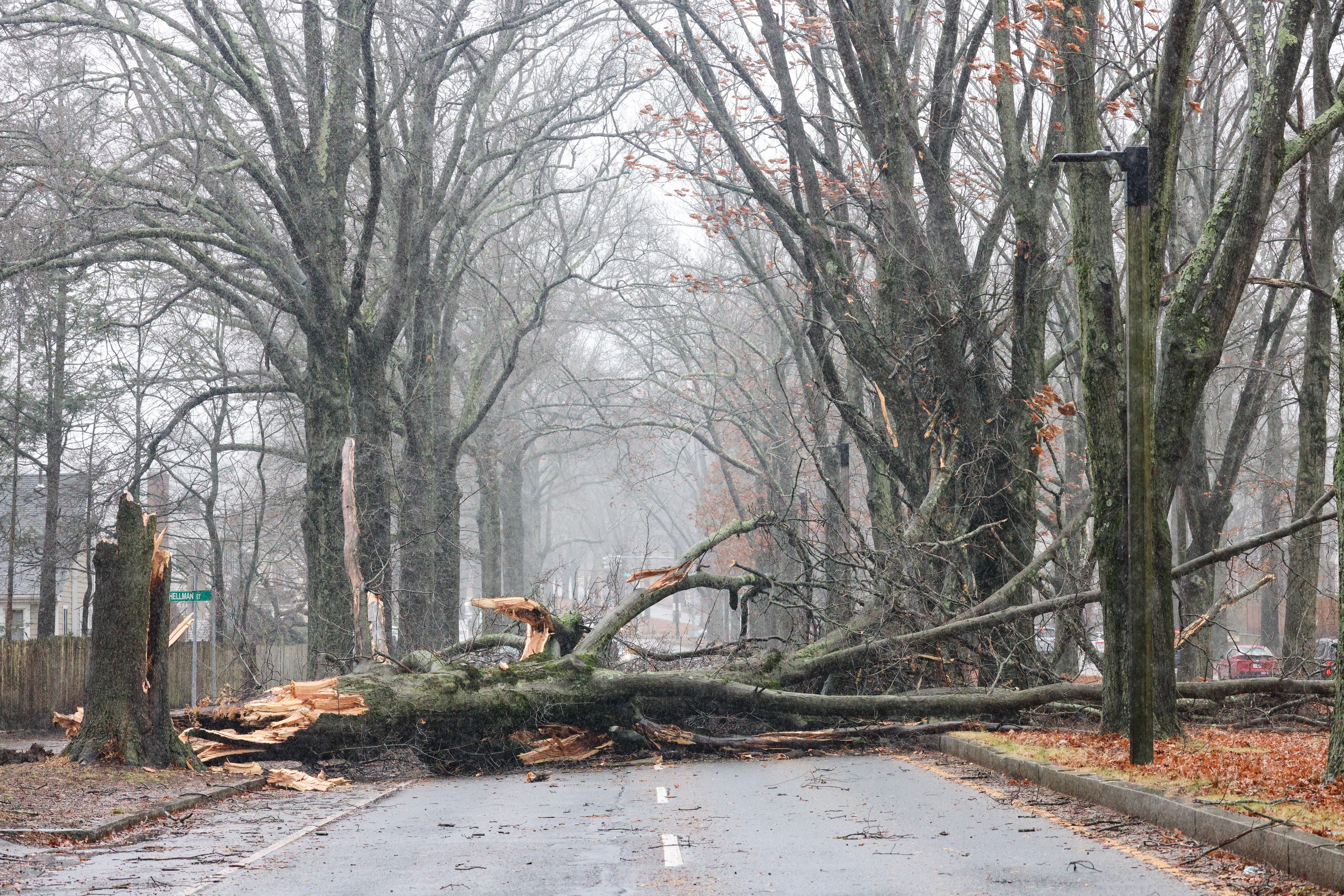 Images of storm damage across Massachusetts – NBC Boston