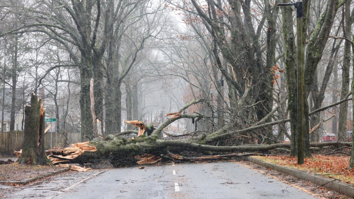 Images of storm damage across Massachusetts – NBC Boston