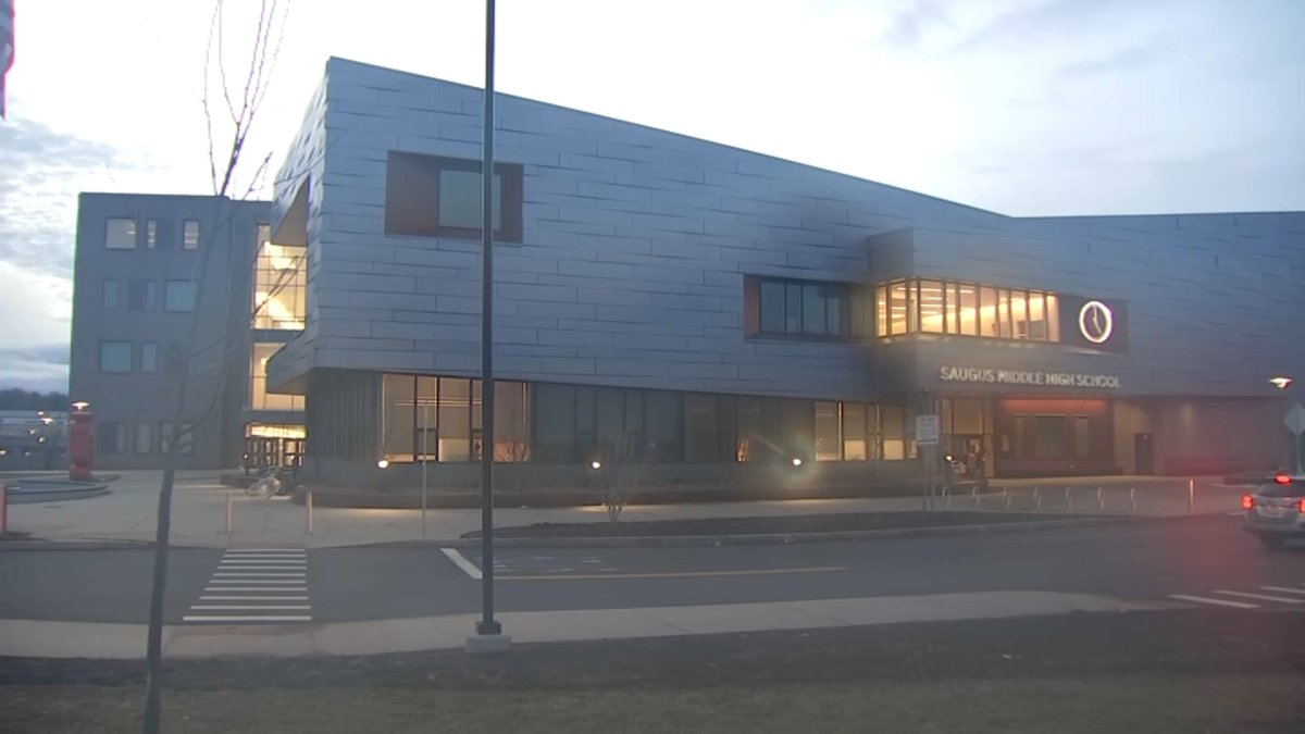 Roxanne Plaskon, Saugus Middle High School teacher, arrested on drug ...