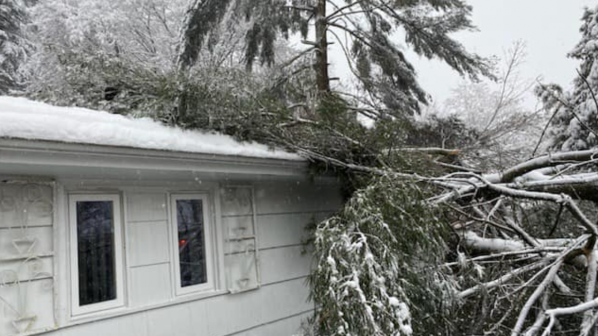 Winter storm batters Massachusetts on Sunday, causing power outages ...