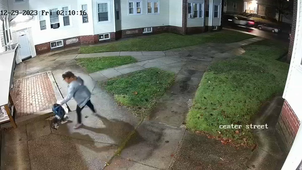 Lowell woman caught on video beating her dog facing animal cruelty ...