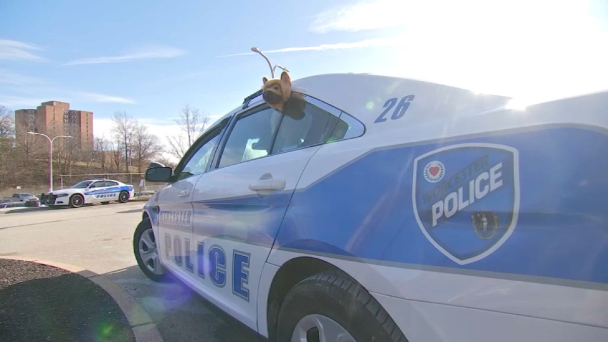 Worcester Police Department recruitment – NBC Boston