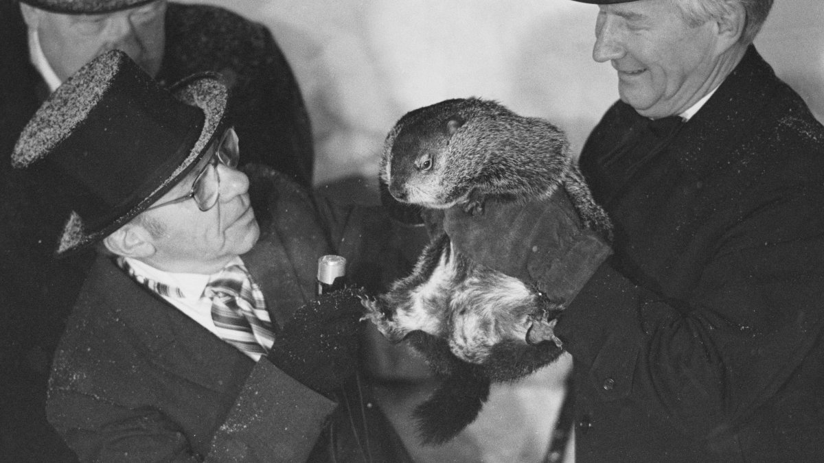 Groundhog Day fun facts and stats – NBC Boston