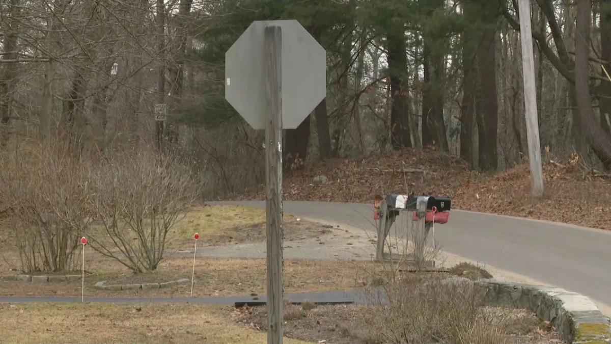 Scituate RI coyote attack – NBC Boston