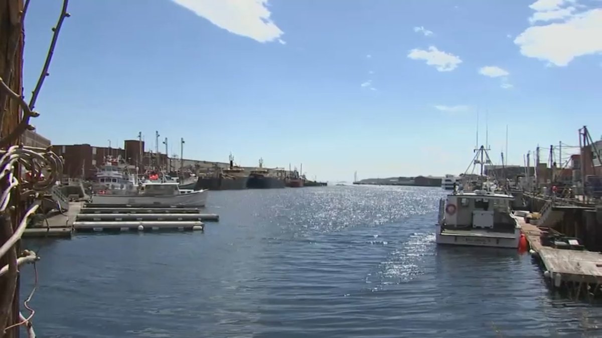 Gloucester harbormaster’s firing draws questions and criticism from ...