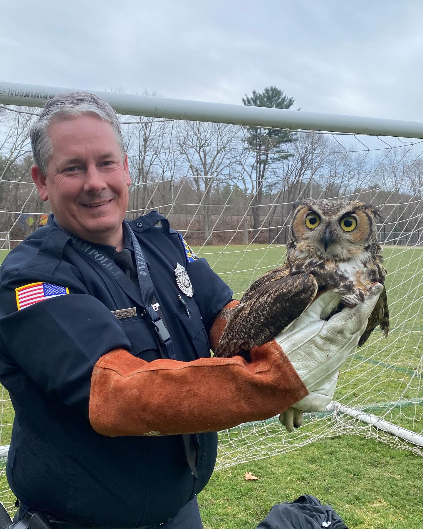 Needham owl rescued by police officers – NBC Boston