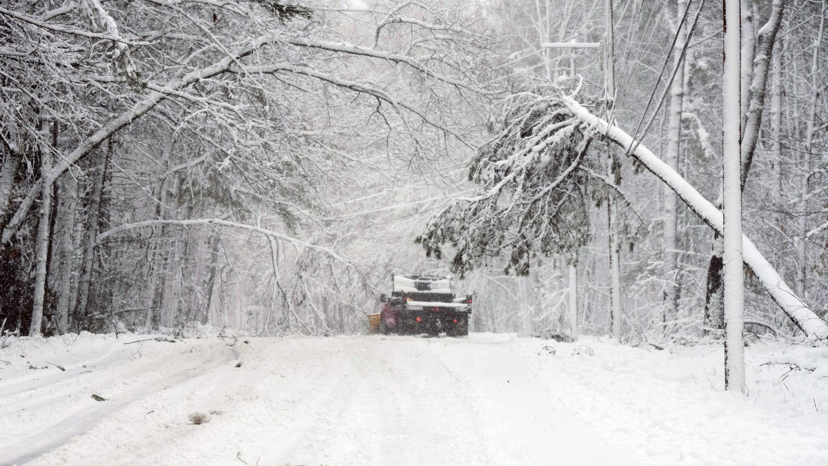 Disaster declaration issued for April snowstorm that caused millions in ...