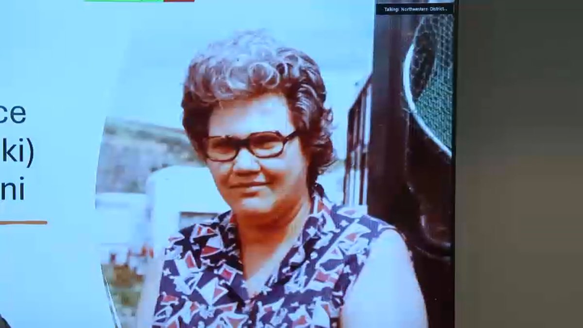 Warwick, MA unsolved 1989 murder: Constance Bassignani identified as ...