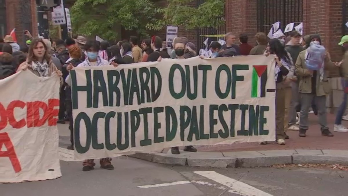 Harvard students disciplined for pro-Palestinian encampment ...