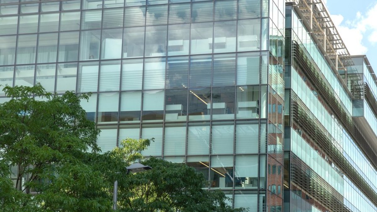 New Takeda Pharmaceuticals layoffs in Mass. – NBC Boston