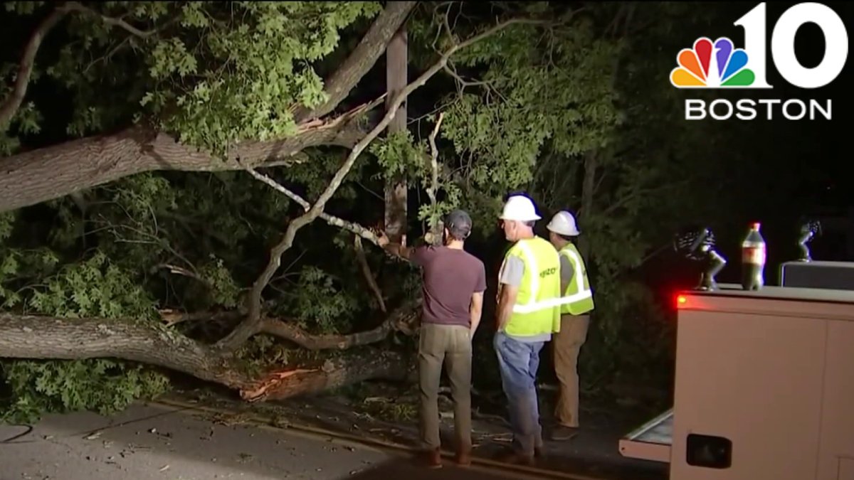 Fallen tree knocks out power to hundreds of customers in Milton – NBC ...
